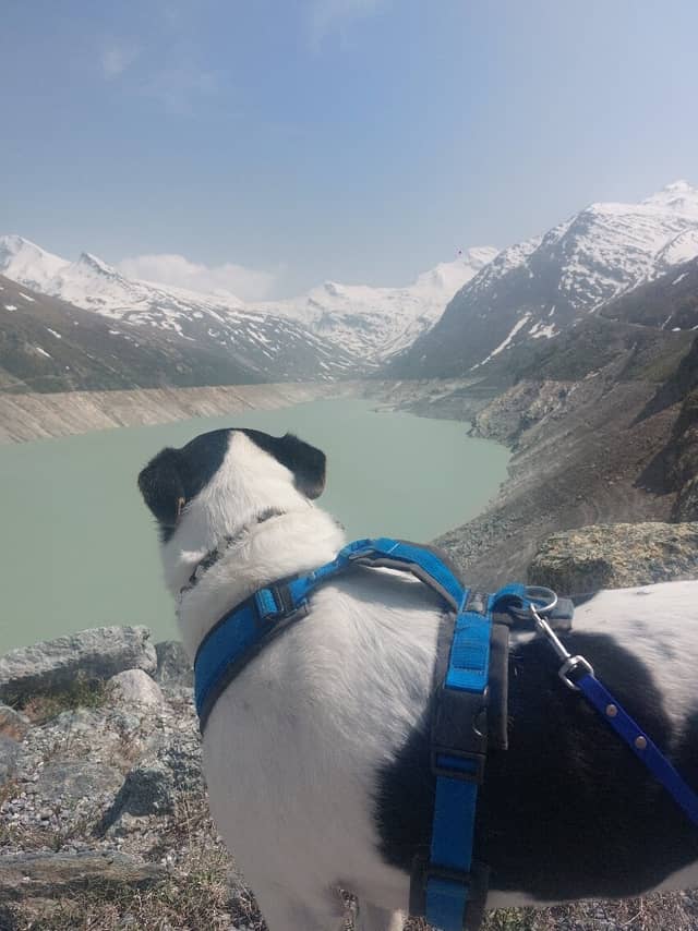 Mattmark Dam & Lake (2026) – Best of TikTok, Instagram & Reddit Travel ...