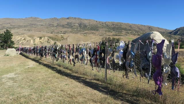 Cardrona Bra Fence (Bradrona) (2026) – Best of TikTok, Instagram ...