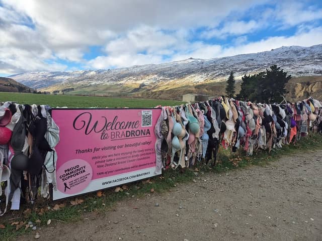 Cardrona Bra Fence (Bradrona) (2026) – Best of TikTok, Instagram ...