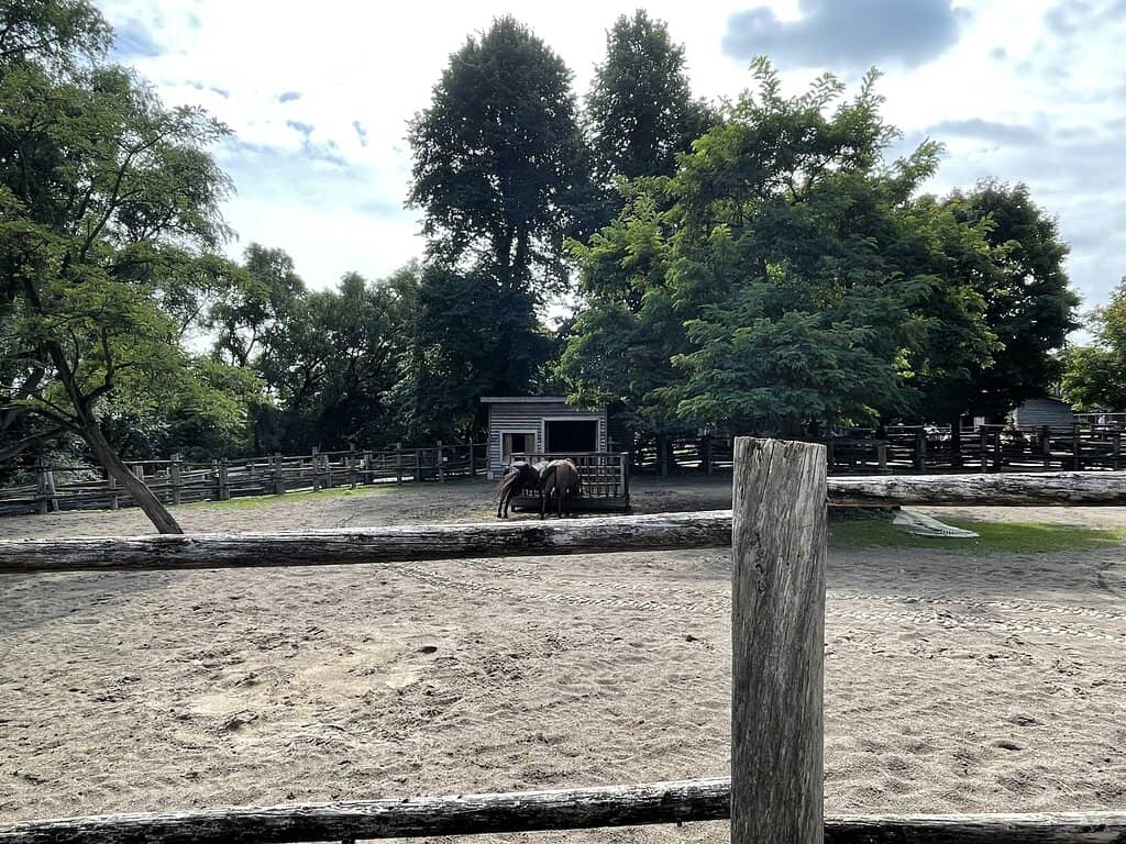 Riverdale Farm Toronto (2026) – Best of TikTok, Instagram & Reddit ...
