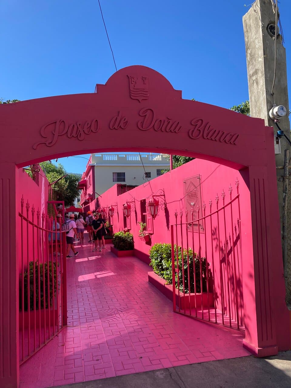 Paseo de Doña Blanca Pink Street (2026) – Best of TikTok, Instagram ...